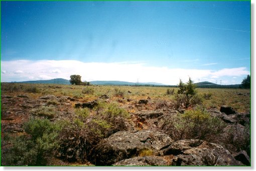 BILLYLAND - OREGON LAND 10.80 ACRES LEVEL/VIEWS/PINES