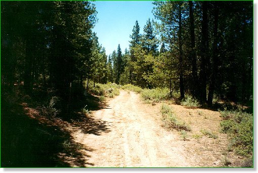 BILLYLAND - OREGON LAND 10.80 ACRES LEVEL/VIEWS/PINES