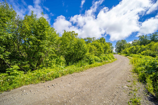 Alaska Land for Sale - Alaska Land Auction (ended on Thu Mar-10-22 2:55 ...