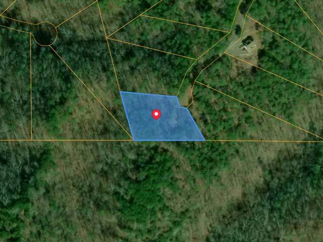 Georgia Land For Sale Georgia Land Auction Ended On Sat Nov 18 23 2