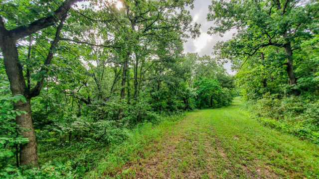 Missouri Land for Sale - Missouri Land Auction (ended on Sun Mar-10-24 ...
