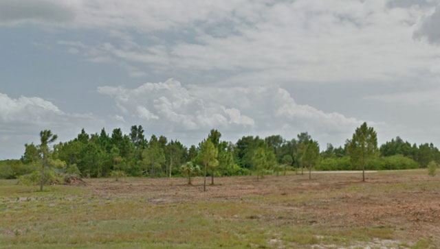 Florida Land for Sale - Florida Land Auction (ended on Sun Apr-21-24 11 ...